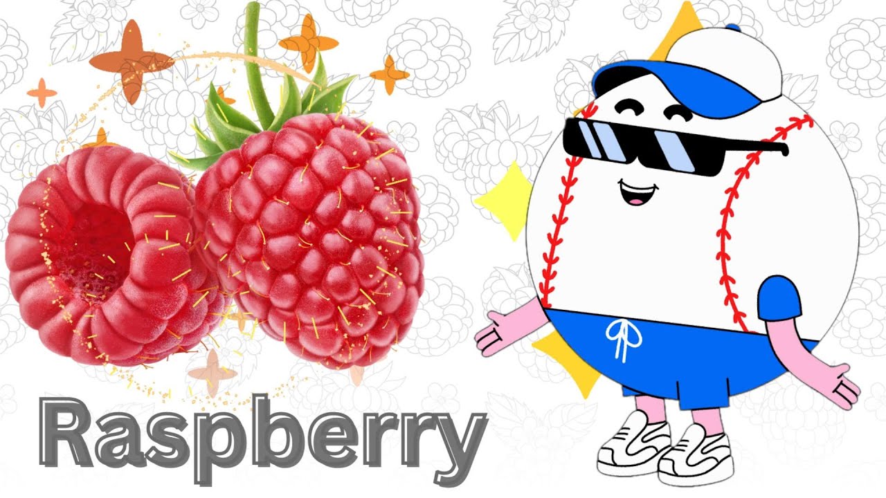 💛💚The Raspberry Fruit | For Kids Learning | KSQUARRE | CUTE CARTOON ...