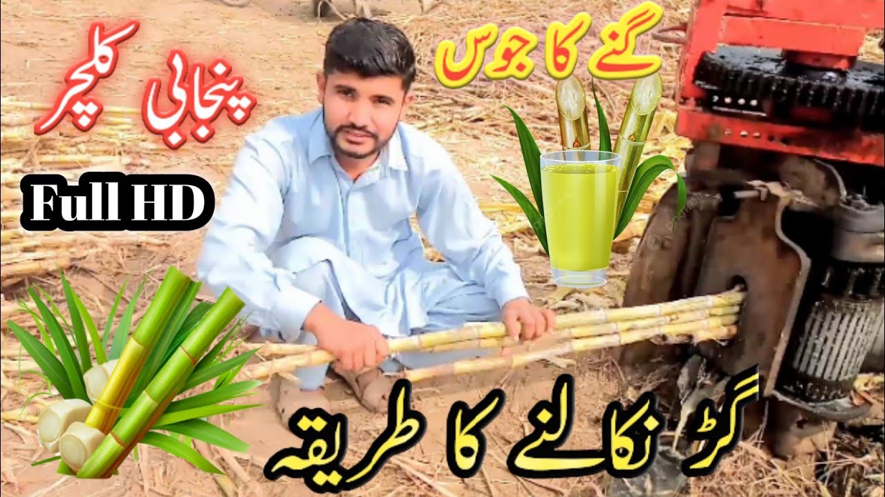Gur banane Ka Tarika How (Gur) Jaggery ismade in village || Punjabi ...