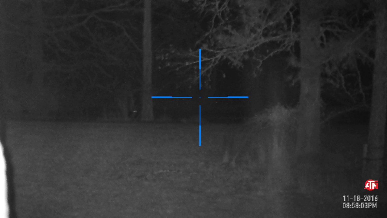 deer at 300+yards night vision - YouTube