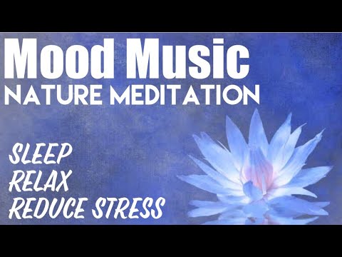 MOOD SETTER MUSIC - Nature Meditation, Sleep, Relax, Reduce Stress ...