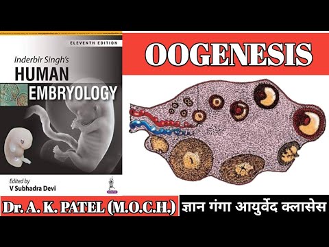 Oogenesis, formation of ovum, egg, Gyan ganga Ayurveda classes, Dr Anil ...