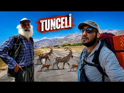 Tunceli’de Dağ Yolunda Arabadan İnmek Zorunda Kaldık! #351 