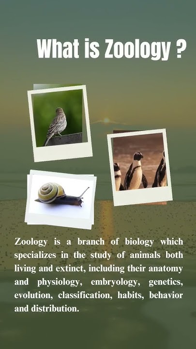 what is Zoology? #zoology #biology - YouTube