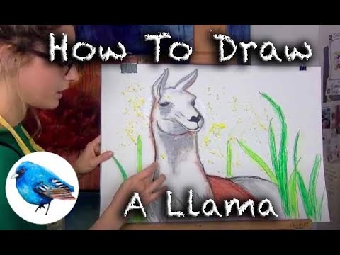 Learn how to draw A LlAMA: STEP BY STEP GUIDE! (Age 5 +) - YouTube