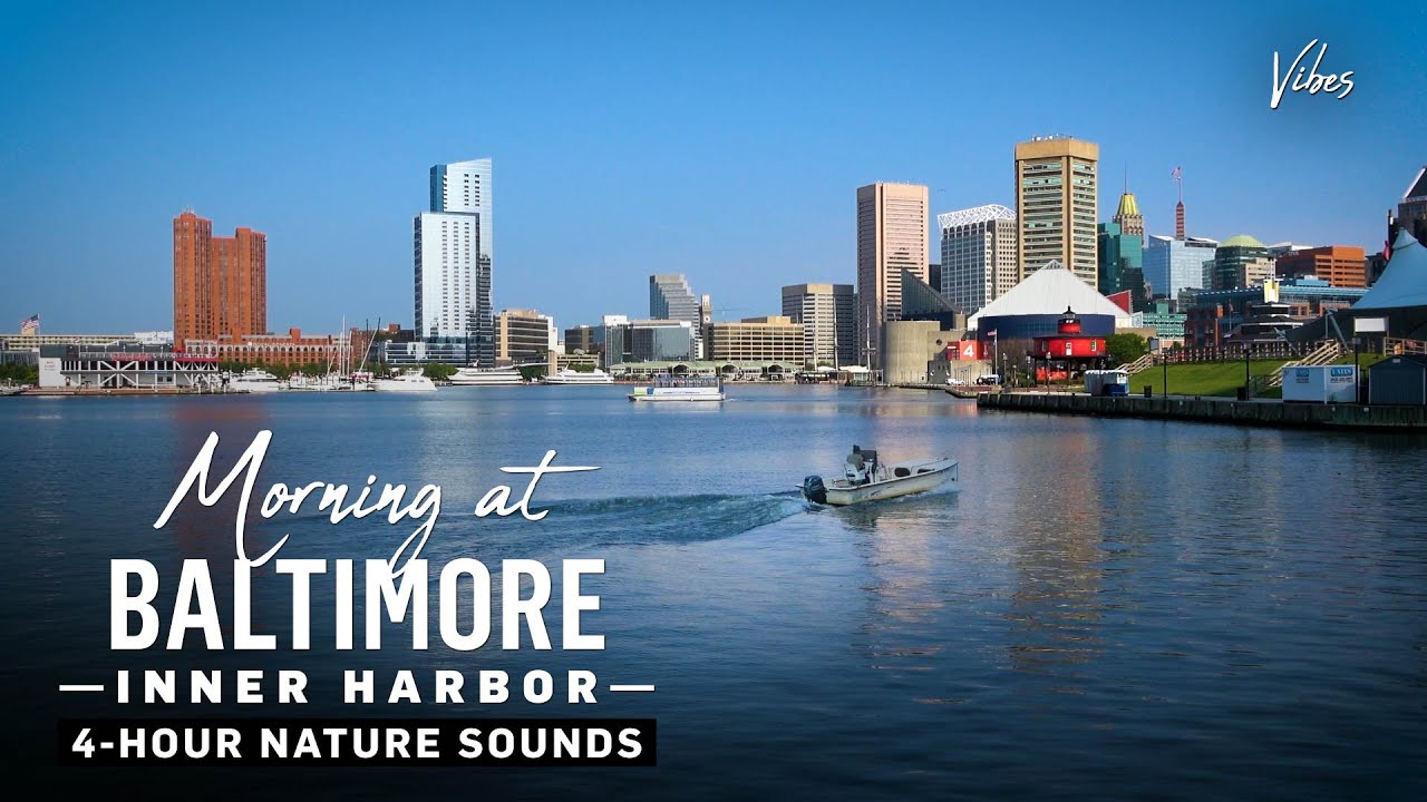 Morning at Baltimore Inner Harbor | 4-Hour Ambient Soundscape for Work ...
