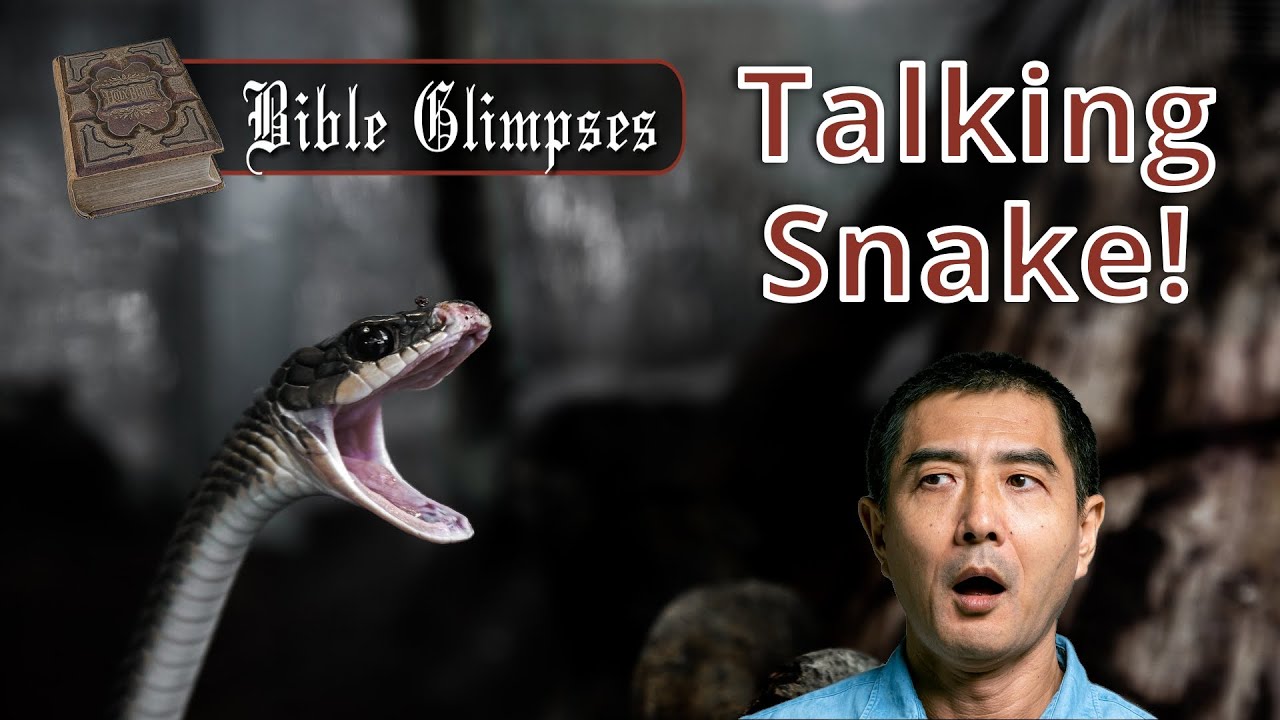 003 - A Talking Snake!? - YouTube