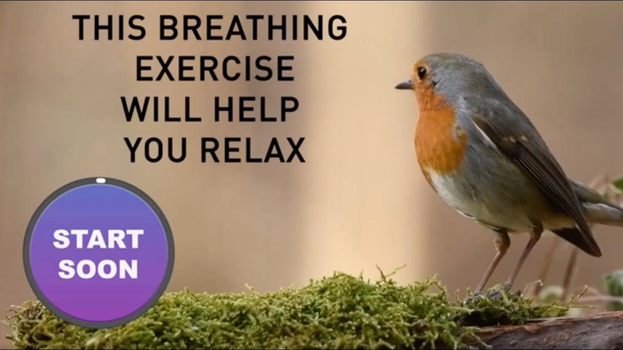 Calm Relaxing Music - 417Hz Positive Energy, Stress Relief, Birds ...