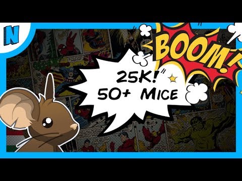 Transformice - Pronubbi 25k! & 50+ Mice Gameplay - YouTube