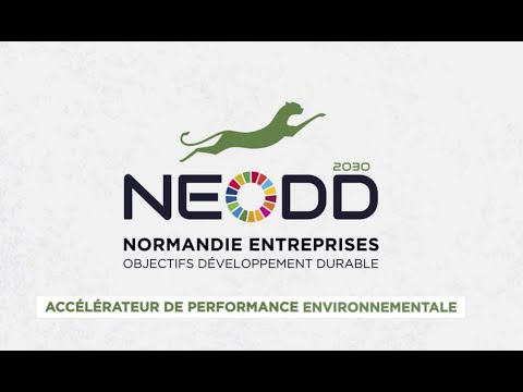 NEODD 2030 - Présentation - YouTube