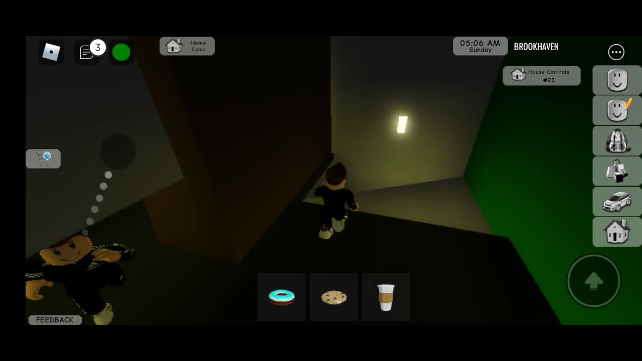 Old cleaners new secret place in Roblox Brookhaven - YouTube