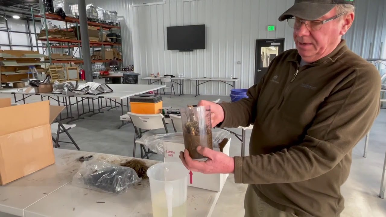 Root Drench! Treating Strawberry Plants w/ IBEX's Plant RX growth ...