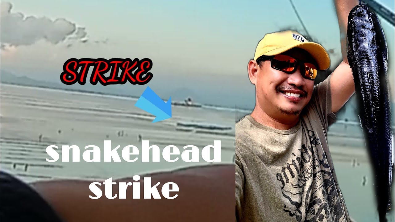 Fishing Snakehead @ taal lake, Philippines - YouTube