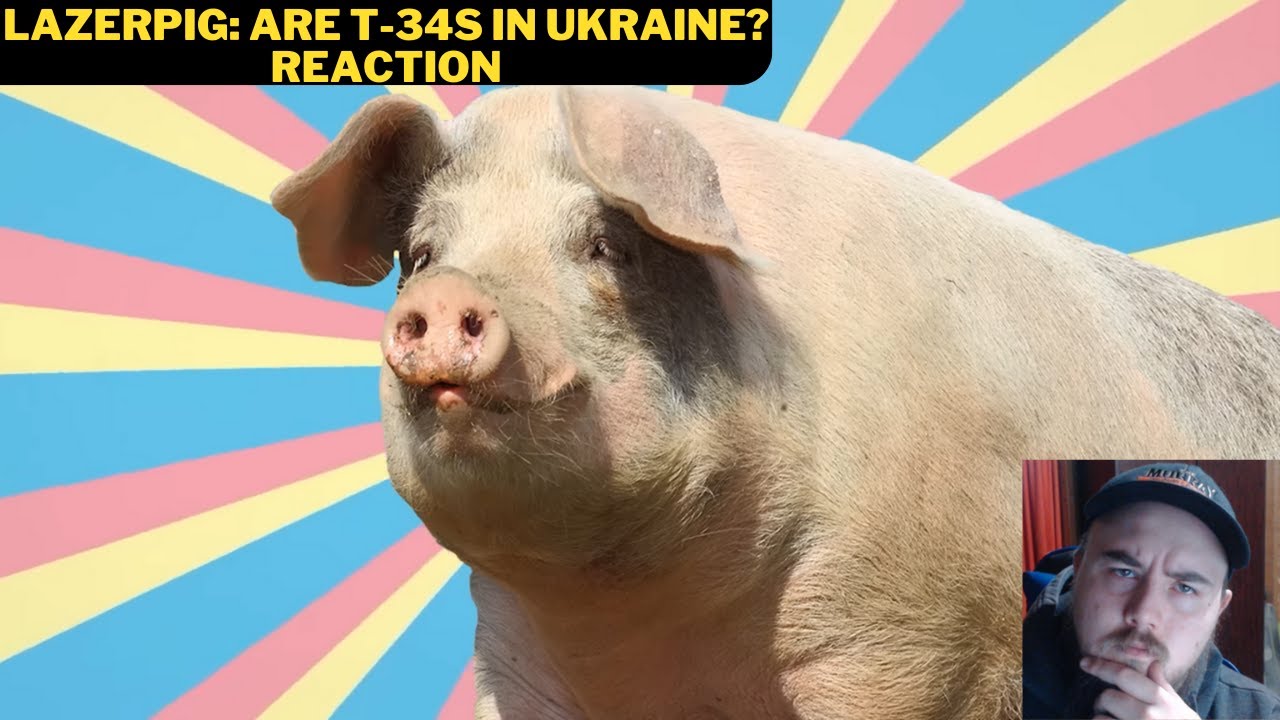 LazerPig: Are T-34s In Ukraine? Reaction - YouTube