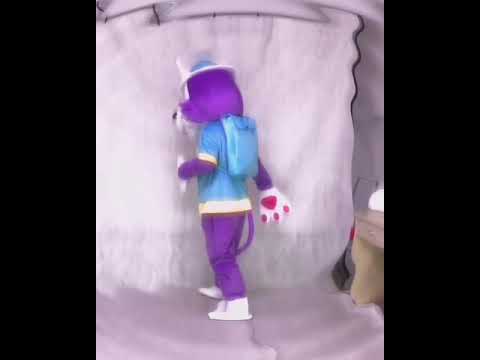 Paw Patrol Husky Dog Everest Mascot Snowy Mountain Pup Cartoon Costumes ...