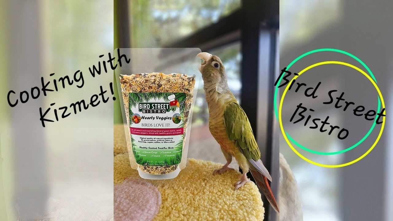 Quick tutorial - How to cook Bird Street Bistro - YouTube