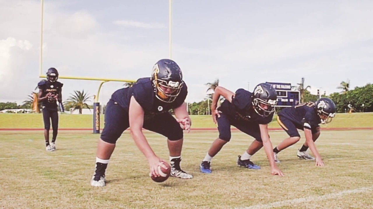 PALMER TRINITY SCHOOL VIDEO PROMO - YouTube