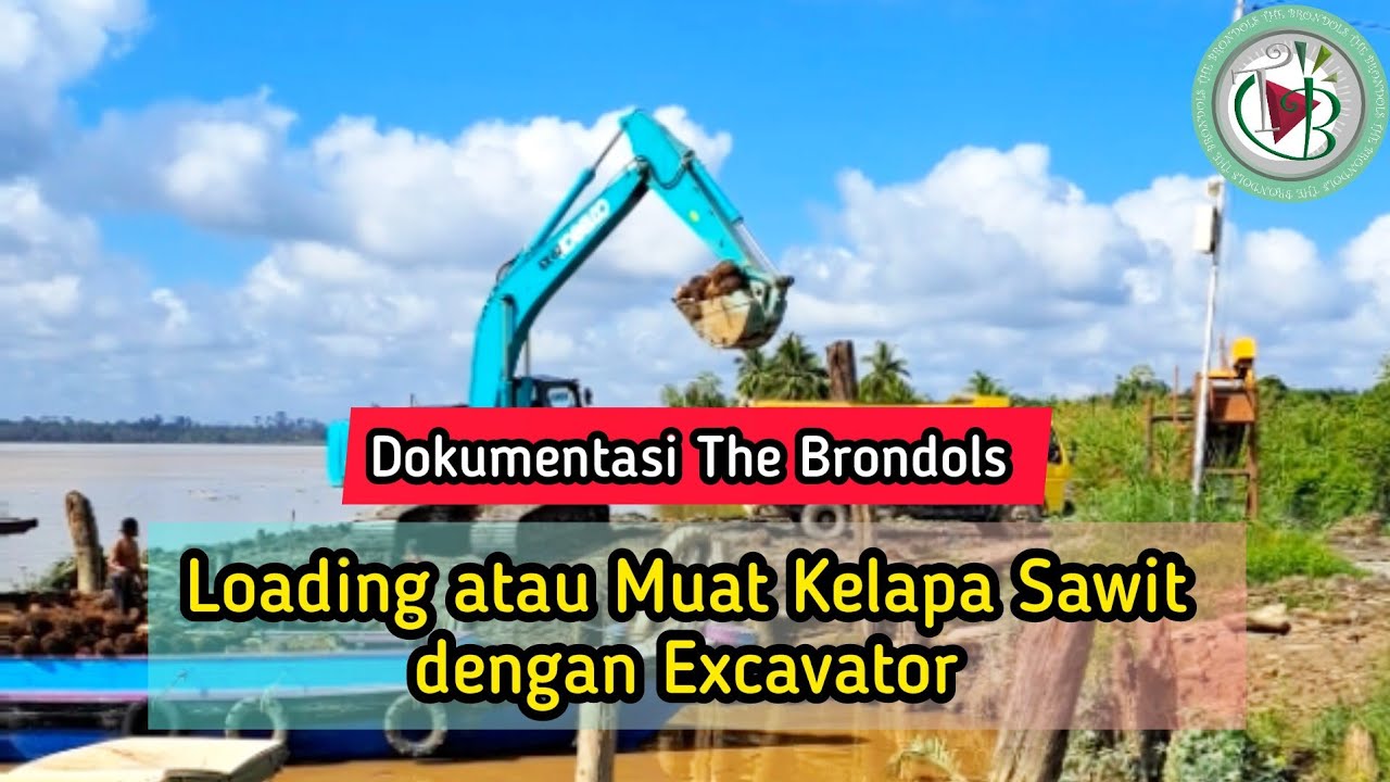 Loading atau Muat Buah Kelapa Sawit Dengan Excavator - YouTube