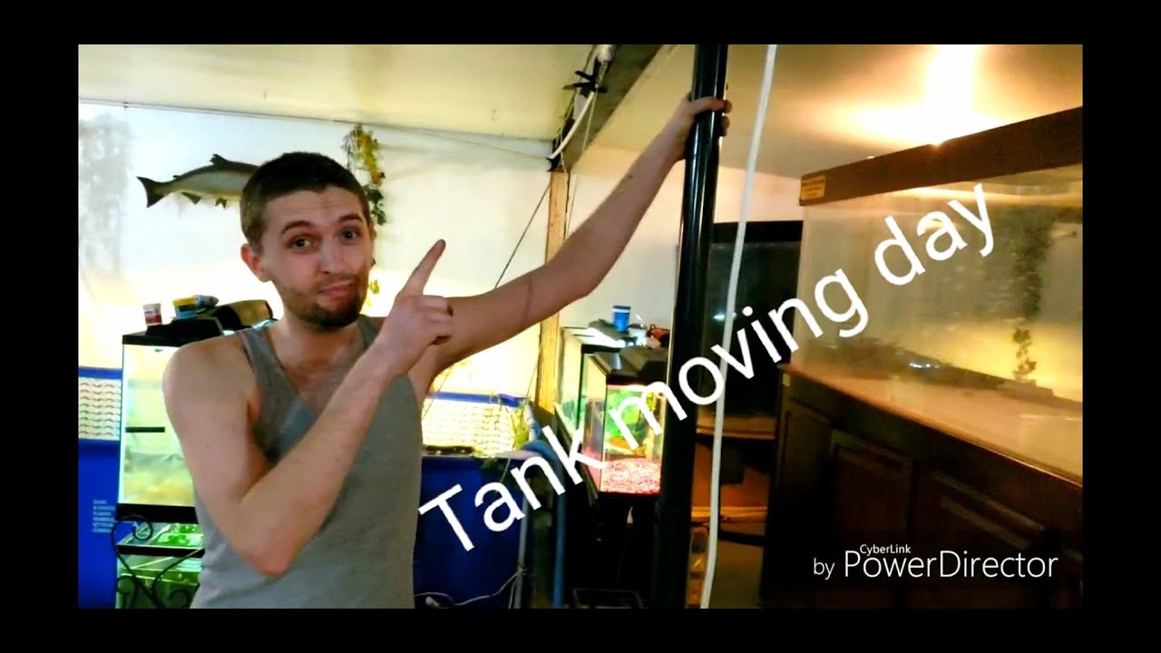 Tank moving day at Ohio Fish Rescue - YouTube