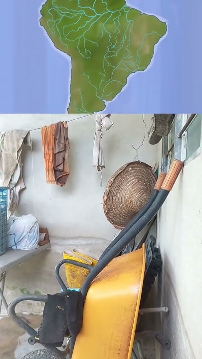 @what happens when you fall into piranha--infested waters - YouTube