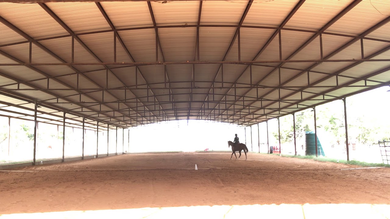 WDAA World Championship Show Class I3O VisStok 660 - YouTube