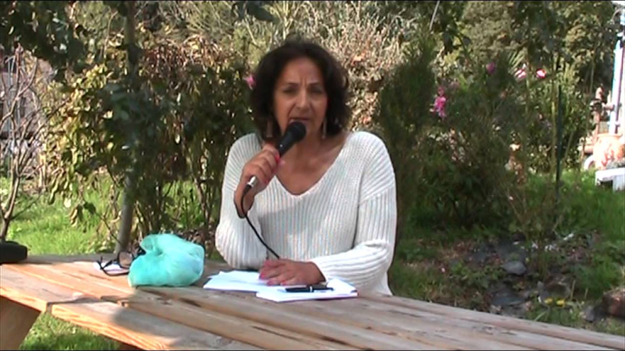 La formation pour l'accompagnement des surdoués (réalisée par Raymonde ...