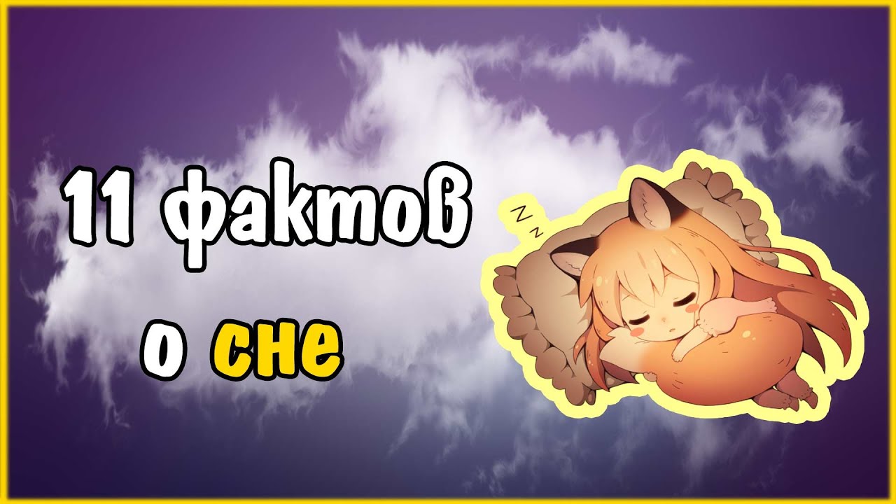 11 фактов о сне Youtube