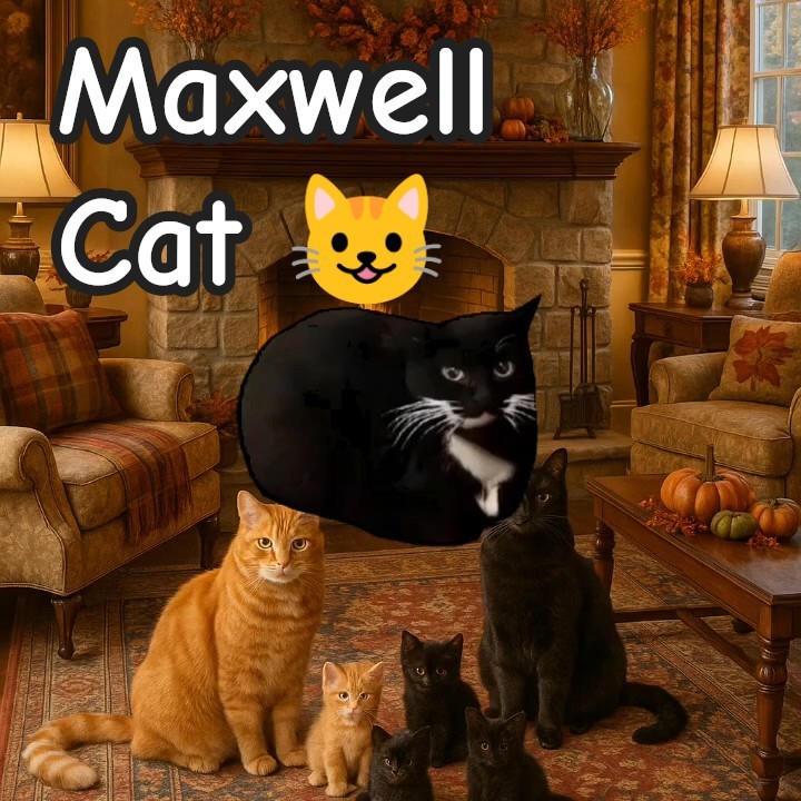 Maxwell Cat Meme 😺 Maxwell Cat Song 🎵 Cute Cat Videos 🐈 Funny Cat ...