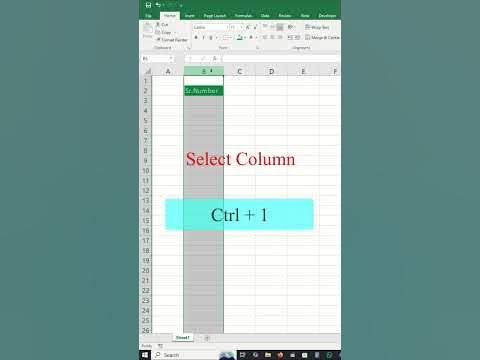 How to Type 000 in Excel | How to Type Zero in Excel #excel # ...