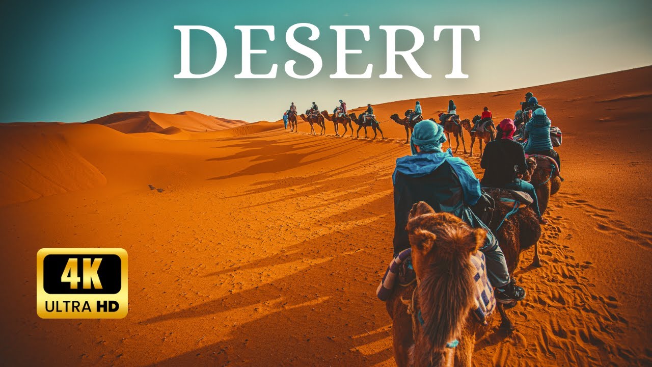 Journey Through the Desert: A Captivating 4K Adventure - YouTube