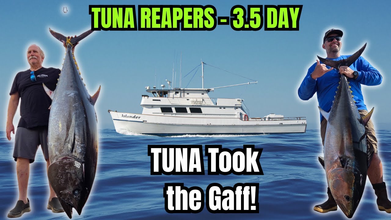 Tuna Heist: The Fish That Stole Our Gaff! - YouTube