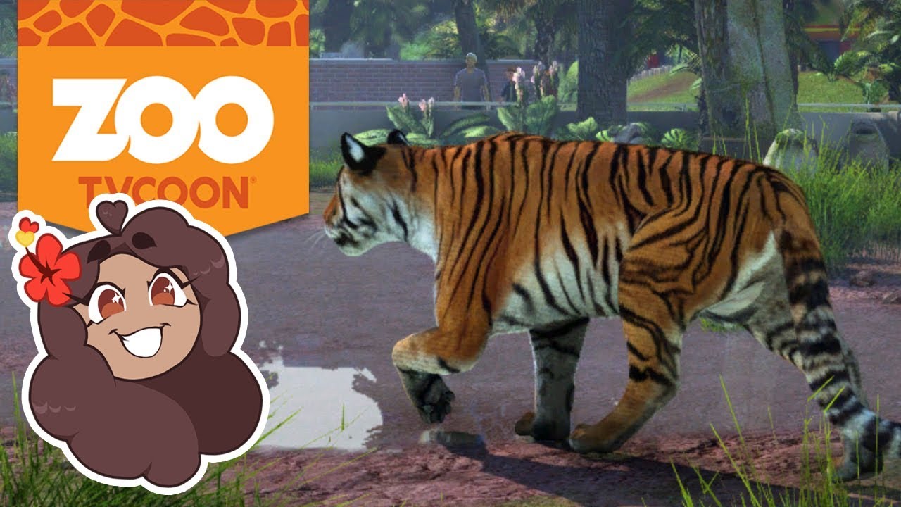 Playing with Tigers?! 🦁 Zoo Tycoon: Ultimate Animal Collection • #6 ...