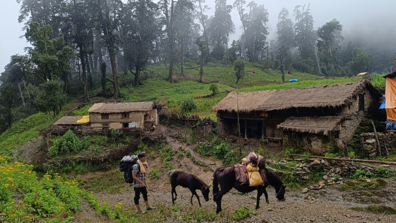 Most Relaxing Nepali Rural Village Life in Rainy Day | Daily Activities ...