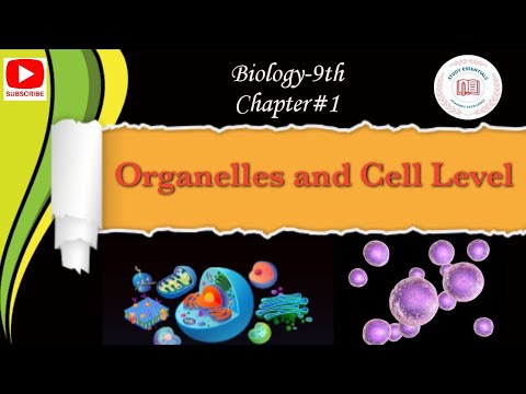 Levels of Organization | Organelle and cell level | Biology | Class 9 ...