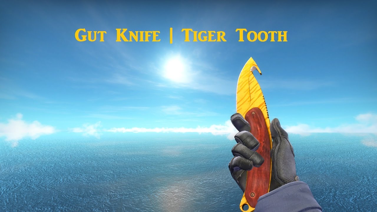 FN Gut Knife | Tiger Tooth Gameplay - YouTube