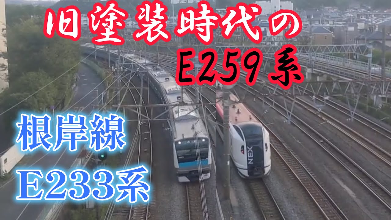 【JR】旧塗装時代のE259系と上下線ですれ違う根岸線E233系 - YouTube