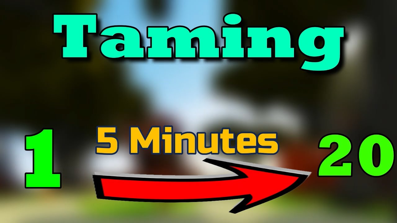 How To Level Up Taming FAST / Hypixel SkyBlock Guide - YouTube