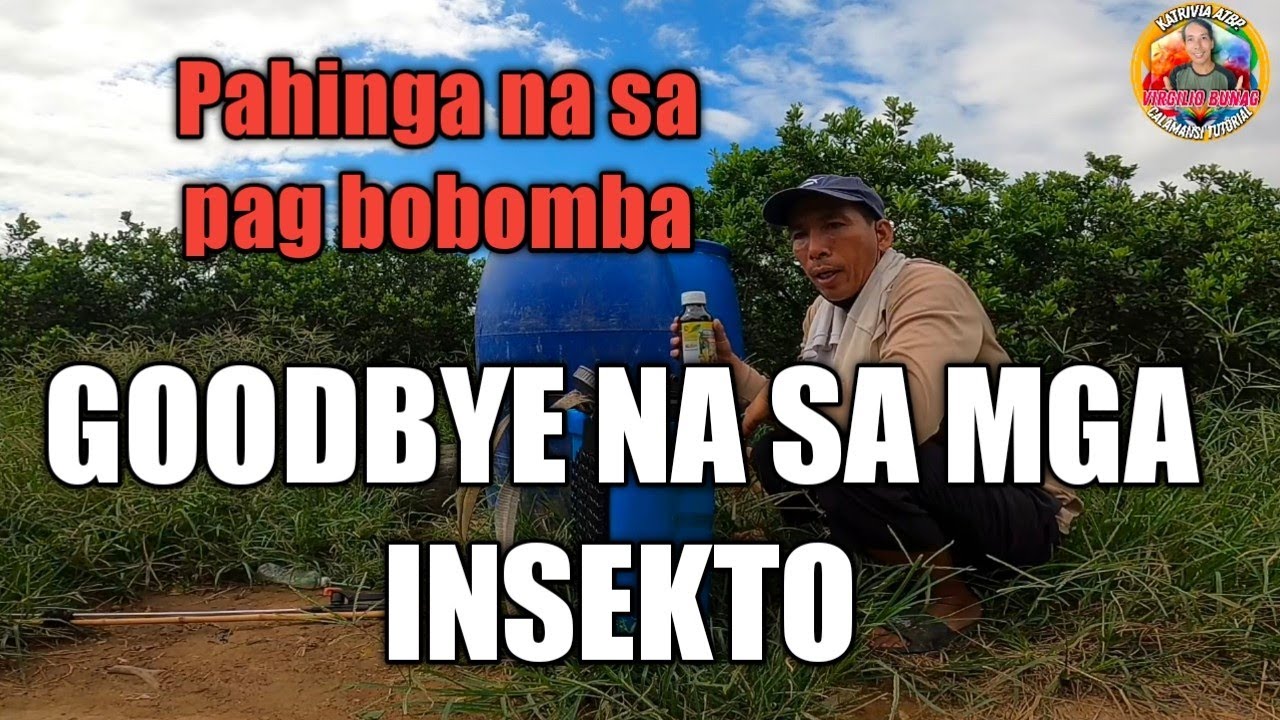 HULING BOMBA PANG INSECTICIDE SA KALAMANSI NGAYON APRIL - YouTube
