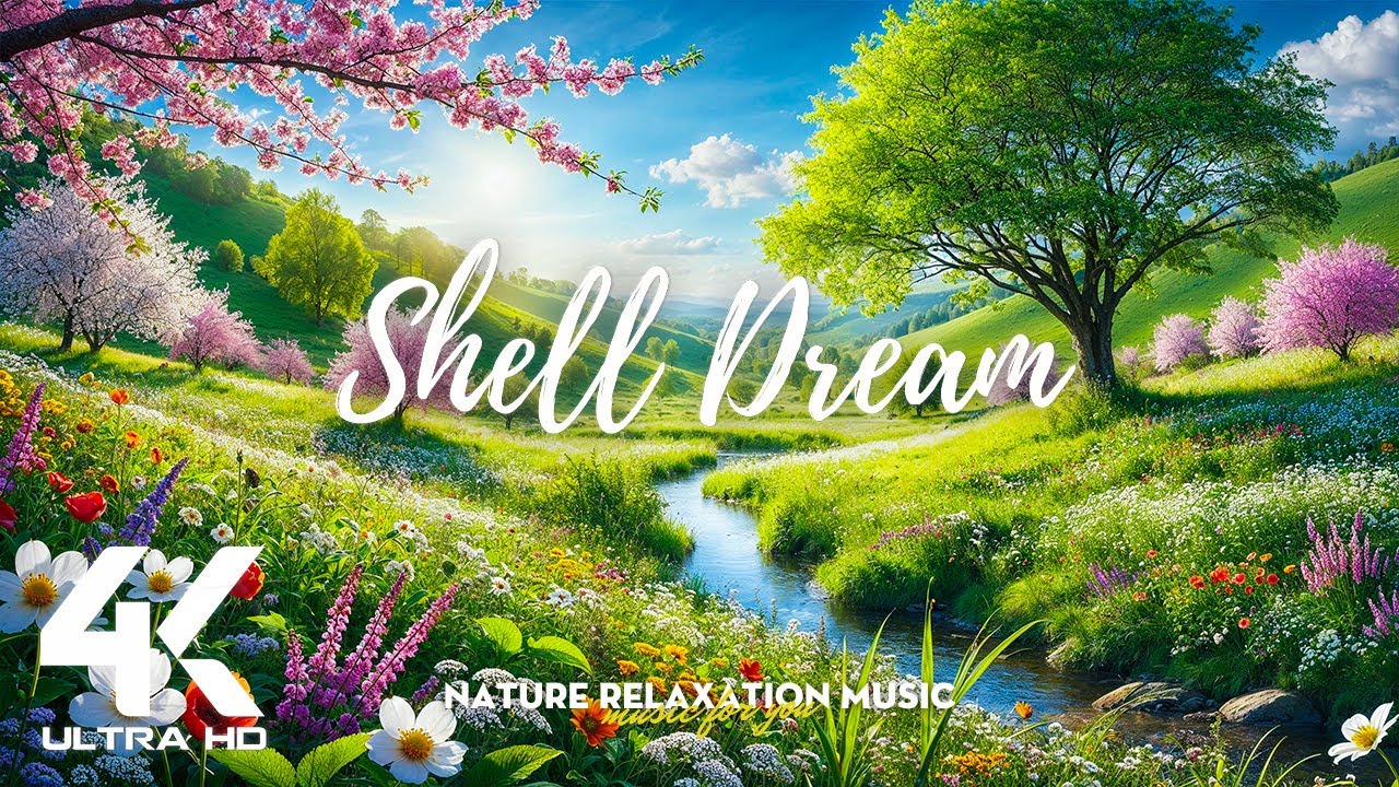 Shell Dream - Nature Relaxation Music - YouTube