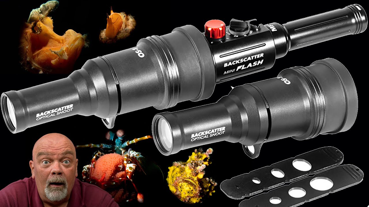 Backscatter mini flash 2 et snoot en revue et démonstration en plongée ...