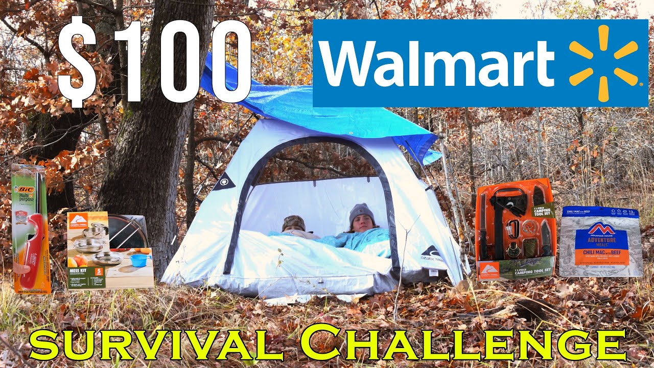 $100 Walmart Survival Challenge| I Can't Believe We Did This! - YouTube