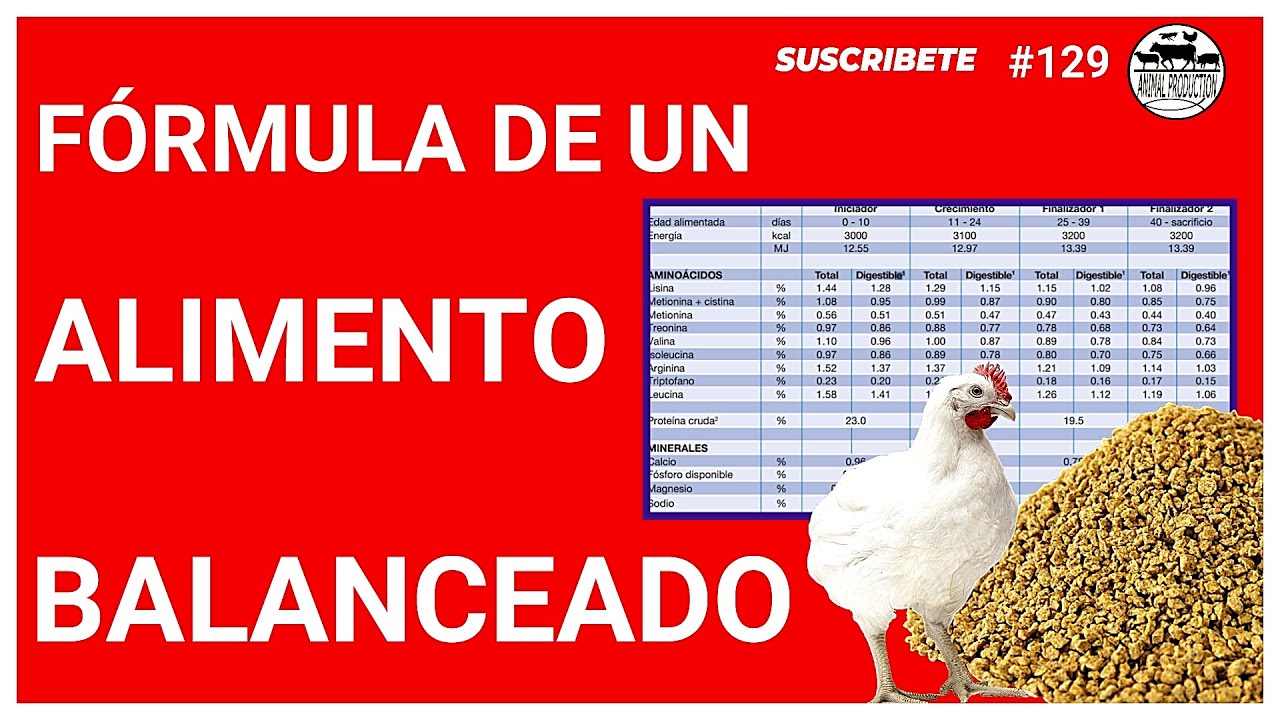 ️FÓRMULA de ALIMENTO BALANCEADO para POLLOS DE ENGORDE 🐥🐔/ No se deje ...
