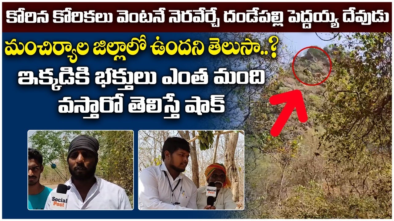 మంచిర్యాలలోని దండేపల్లి పెద్దయ్య దేవుని చరిత్ర || Peddaiah Devuni Gutta ...