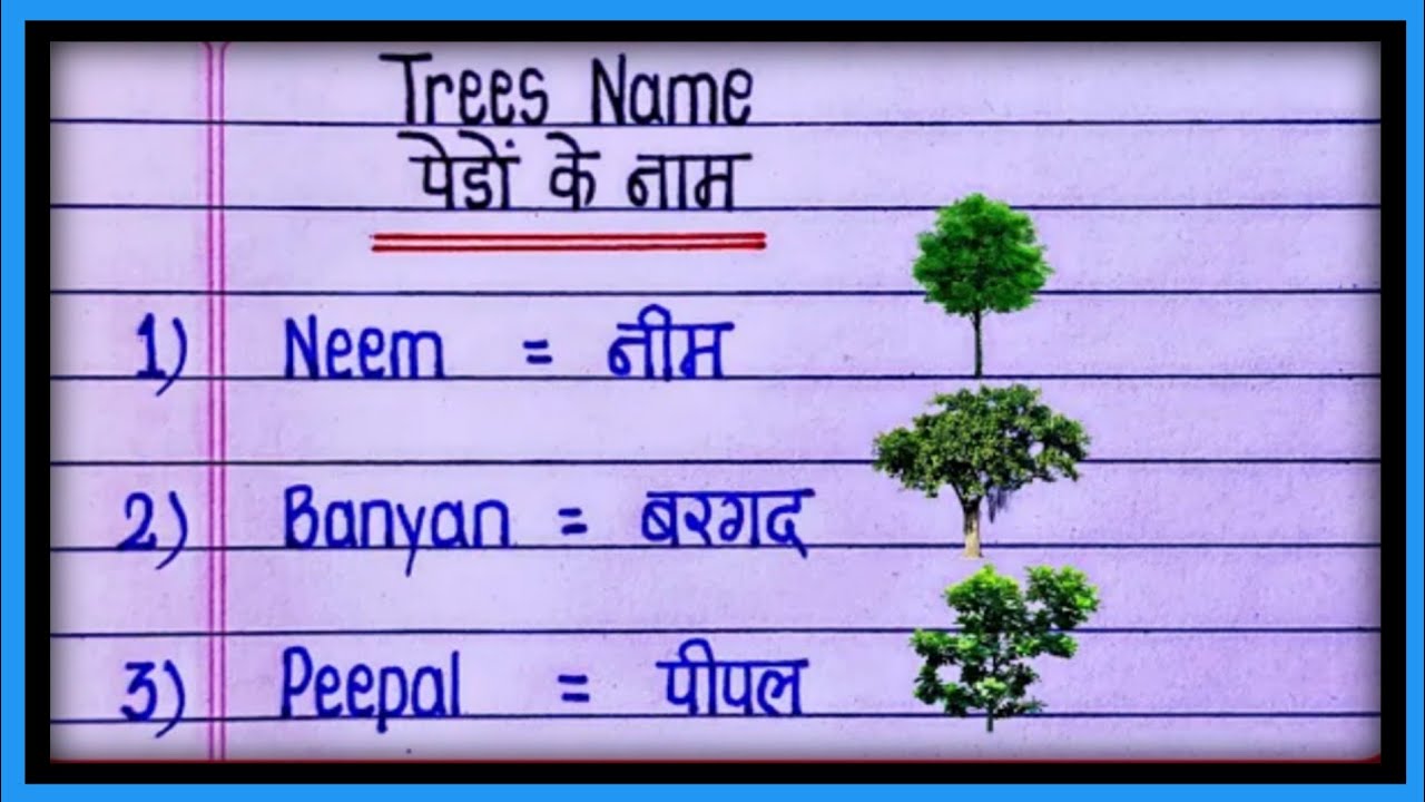 20 Trees Name English and Hindi || 20 पेड़ो के नाम हिंदी और अंग्रेजी ...