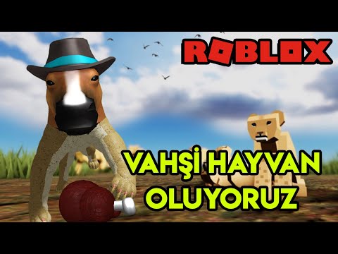 🦁 Vahşi Hayvan Oluyoruz 🦁 | Playbox Safari | Roblox Türkçe
