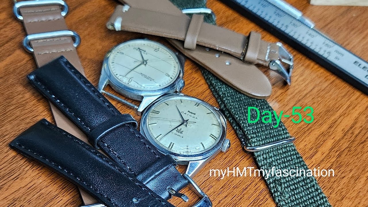 DAY 53 - HMT chinar leaf - chinar - A Different Watch Everyday for next ...