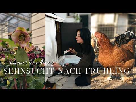 Ein gemütlicher Tag im Landhaus 🤍 Pflanzen, alter Schrank & unsere Tiere