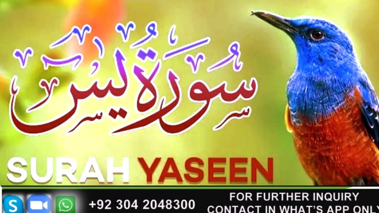 Surah Yaseen Beautiful Quran recitation||surah tul Yaseen||Drakshan ...