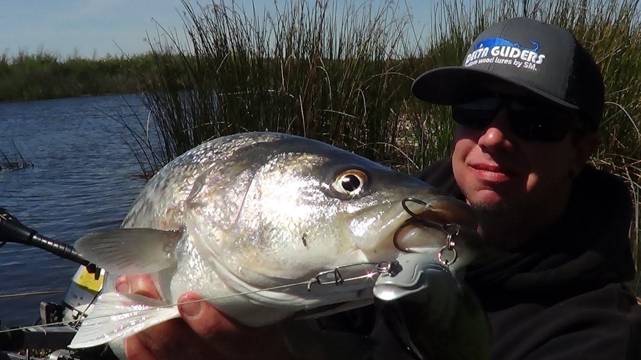 SPRING DELTA ... STRIPER ACTION! - YouTube
