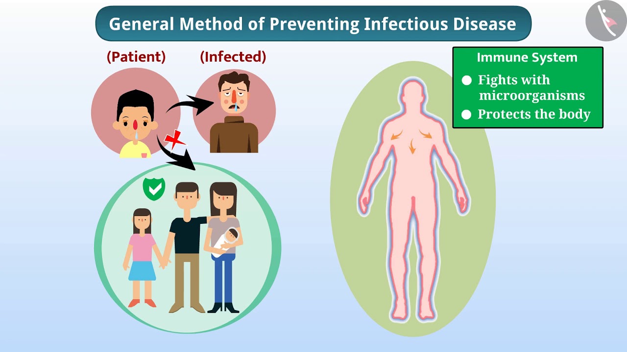 Principles of prevention | Part 1/1 | English | Class 9 - YouTube