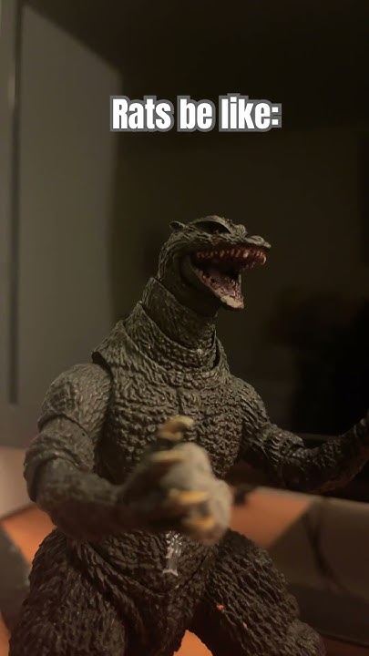 Rats be like - YouTube
